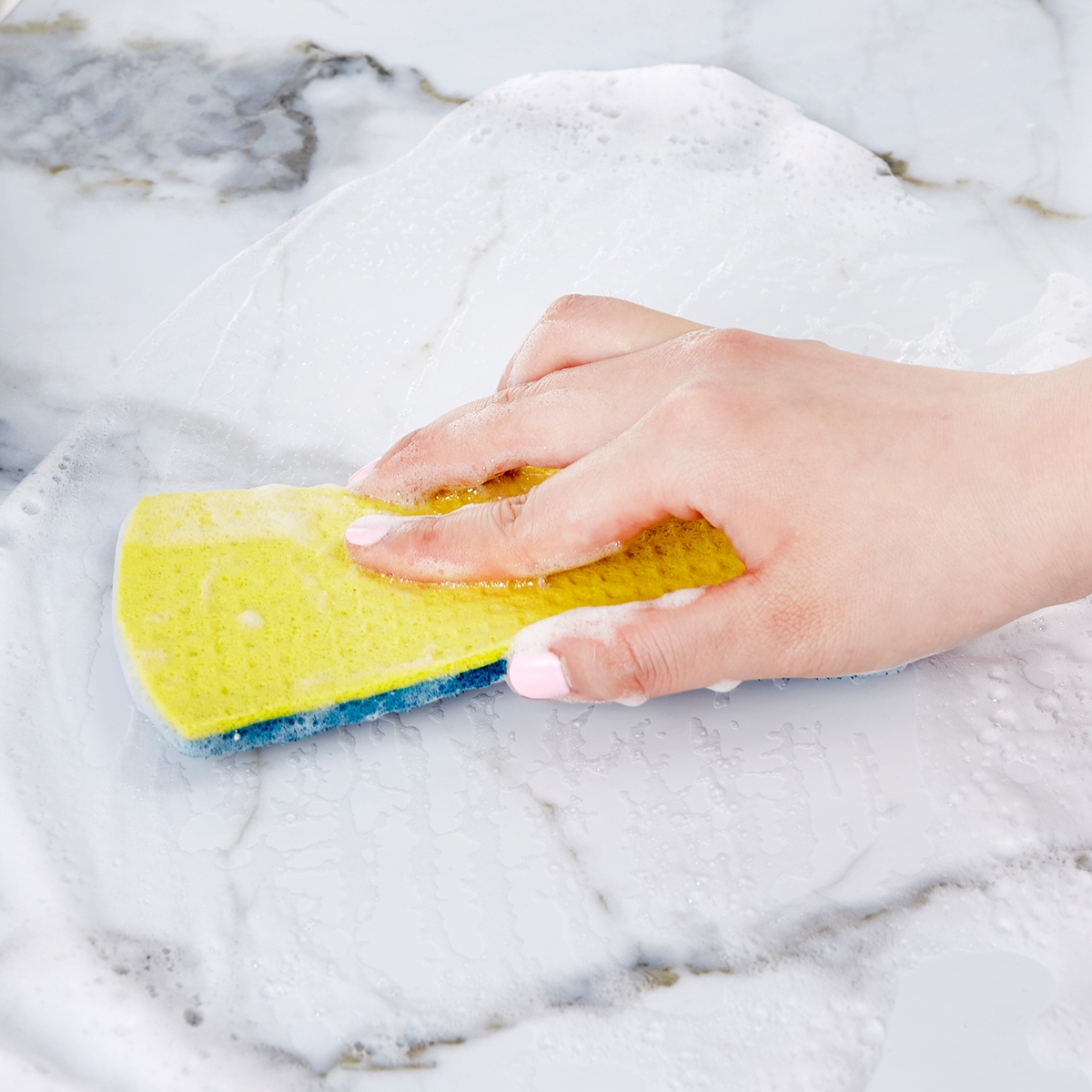Sponges – Full Circle Home